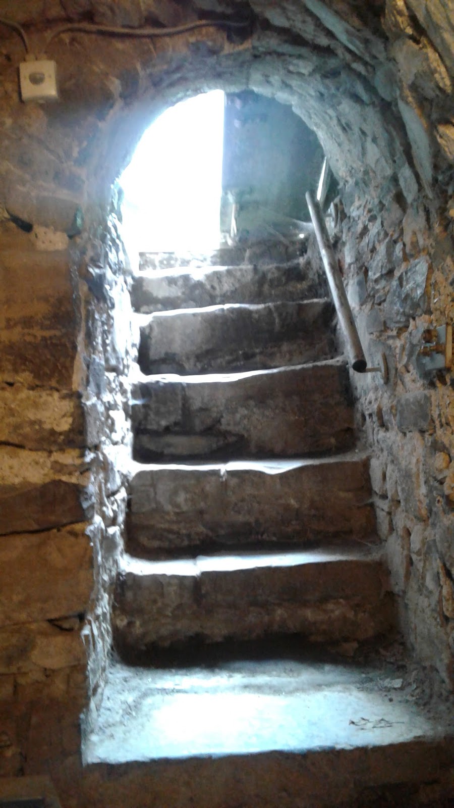 The Chambered Nautilus