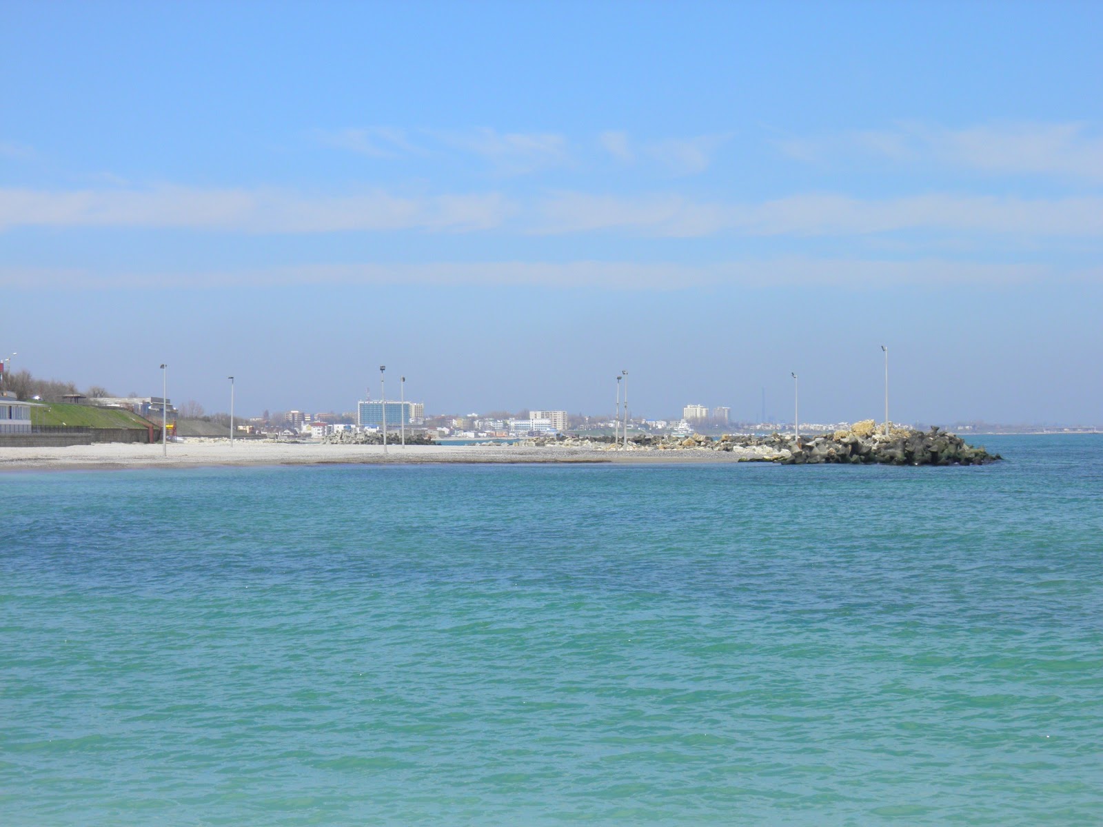 PASARI DIN ROMANIA: CODROS DE MUNTE (2), Phoenicurus ochruros