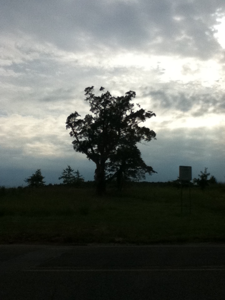 Horror Show Spooktacular: Devil's Tree, NJ Pics