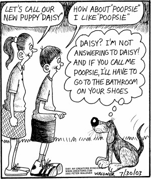 The good life: Some barnyard humor