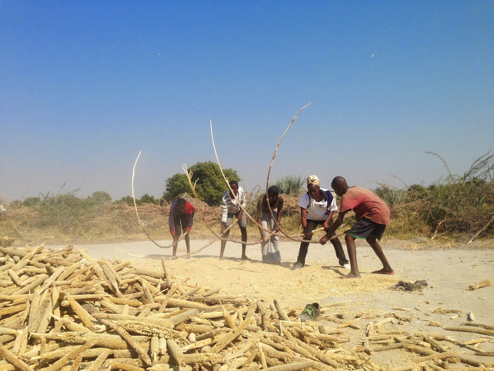 The Oryx Chronicles: Beating Mahangu