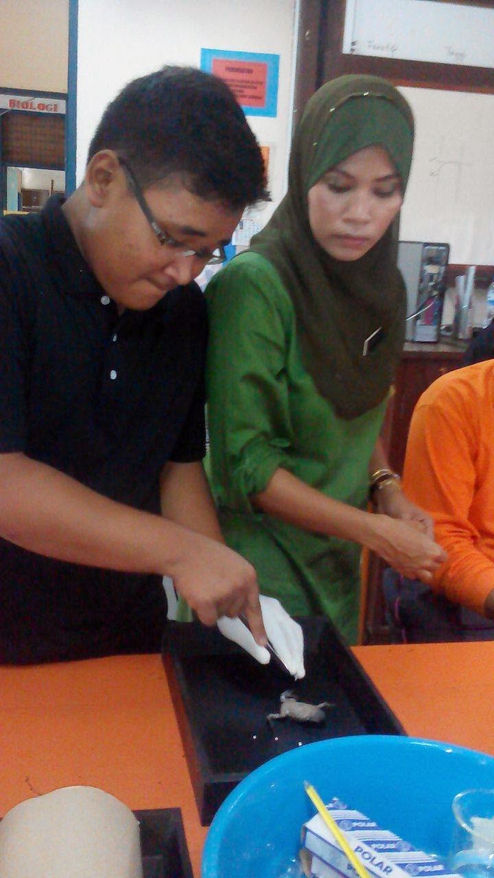 PARA SIEMPRE: MATI KATAK!!!