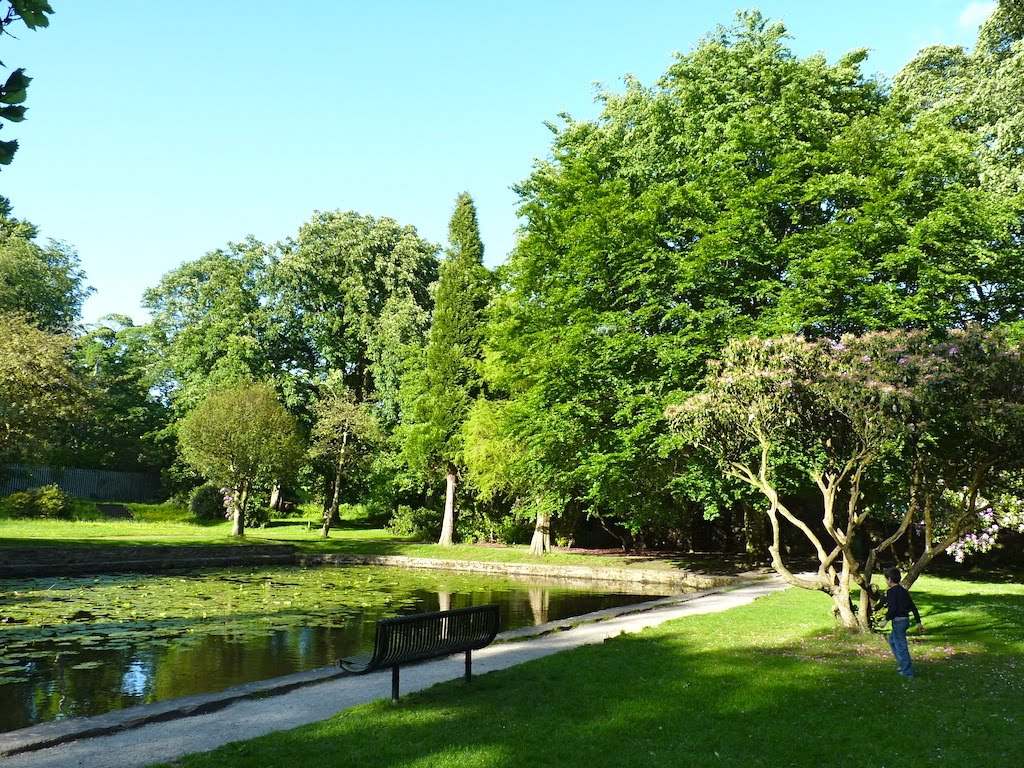 Beauty of Lancashire: A Spring evening in Witton Country Park, Blackburn