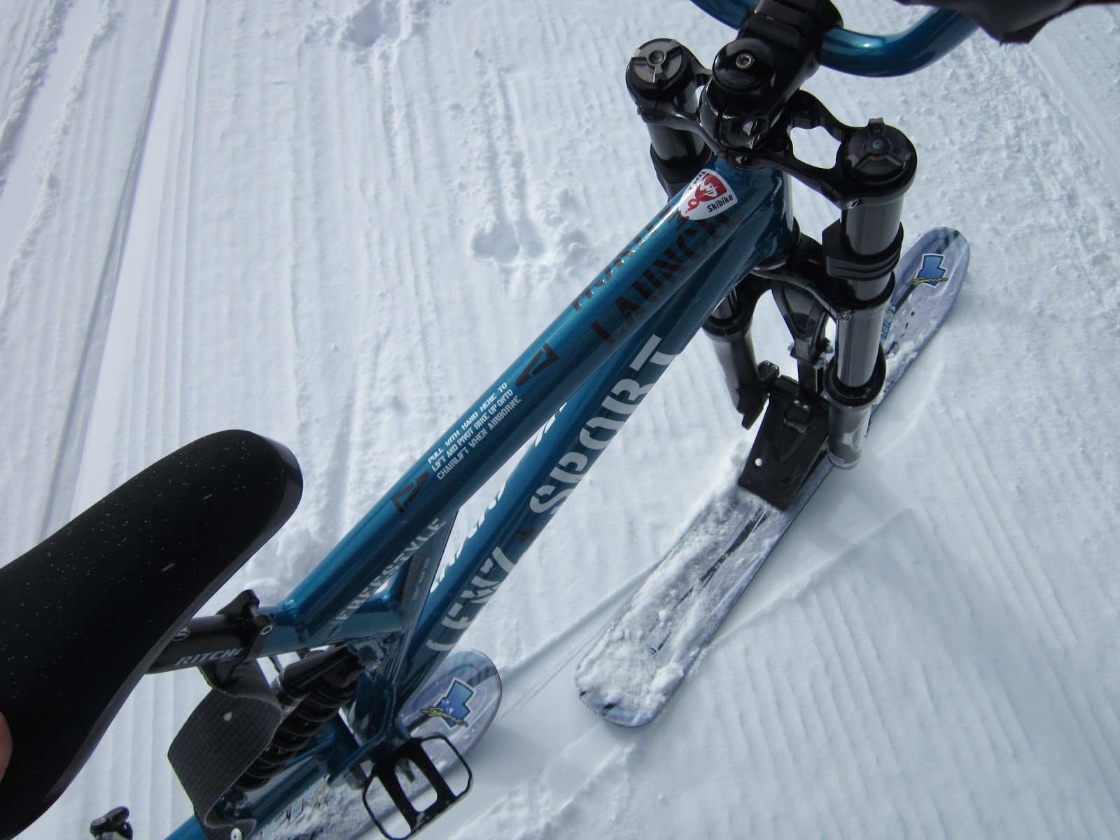 Professional Skibike Instruction: Skidded turns and skidded traverses ...