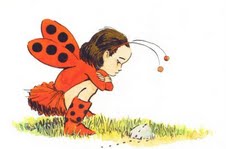 LadyBug Shop - A unique collection of ladybug gifts & much more ...