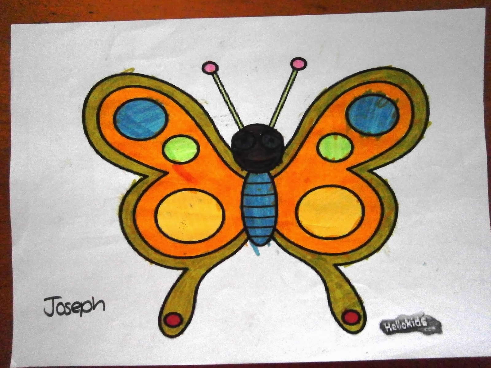 Room 2 Tuis 2013: Butterfly Symmetry