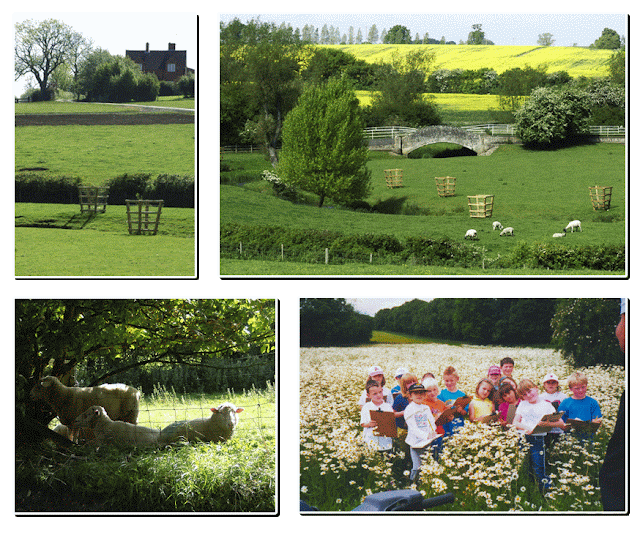 Moulton College Countryside Management: Farming for Wildlife at Rectory ...