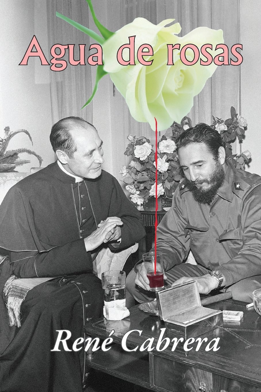 LA BIBLIOTECA CUBANA DE BARBARITO: "Mis mejores libros cubanos leídos ...