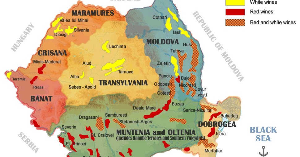 ardovino 4: Rumanía