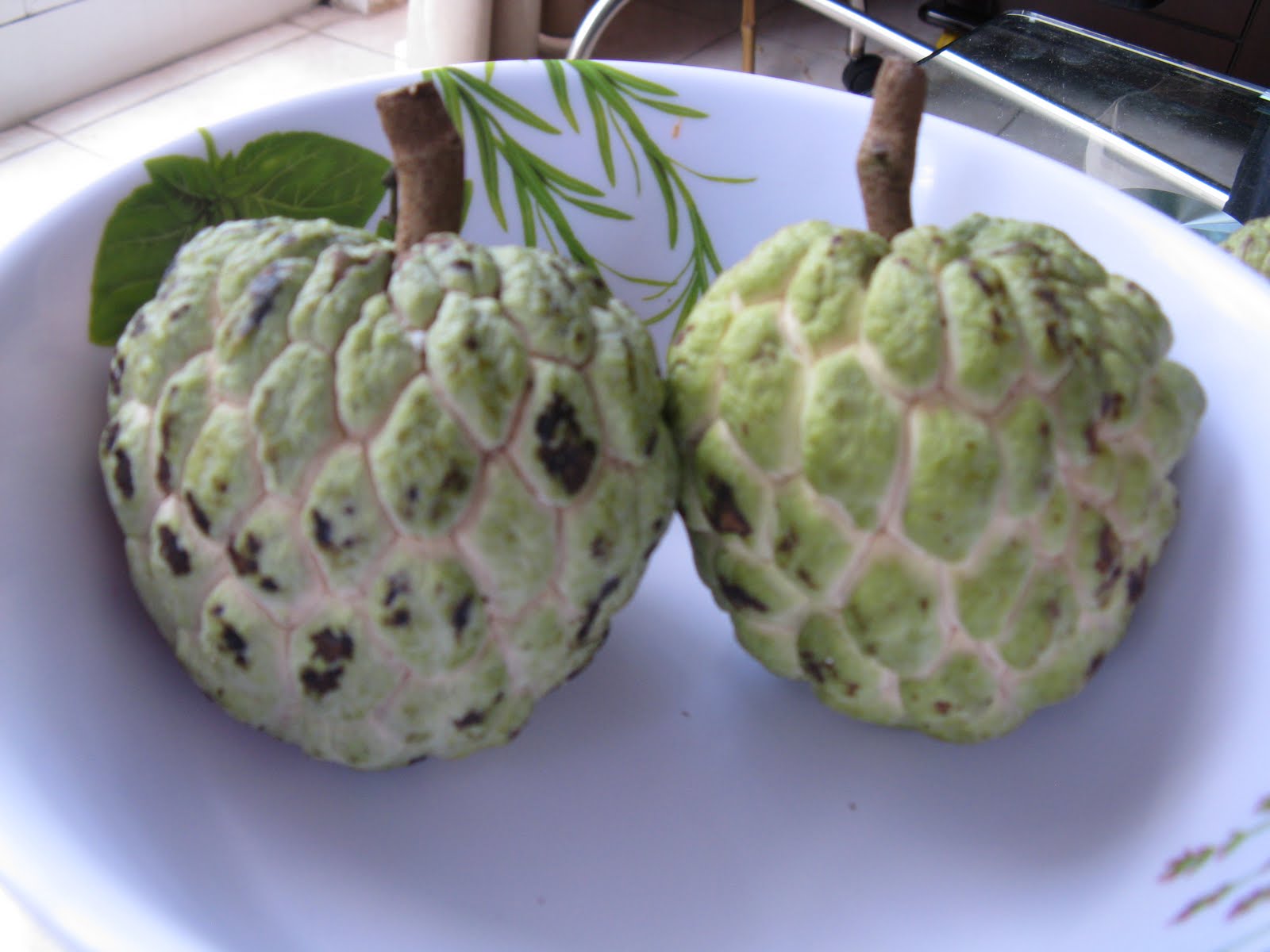 Head (South) East: The Custard Apple (Mang Cau)