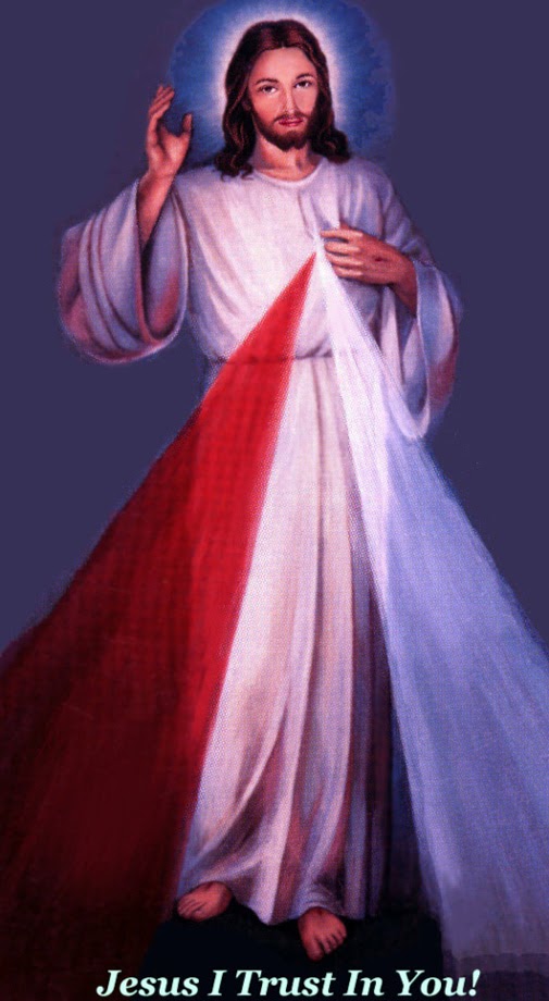 Lower Your Nets: Touch Jesus' Divine Mercy