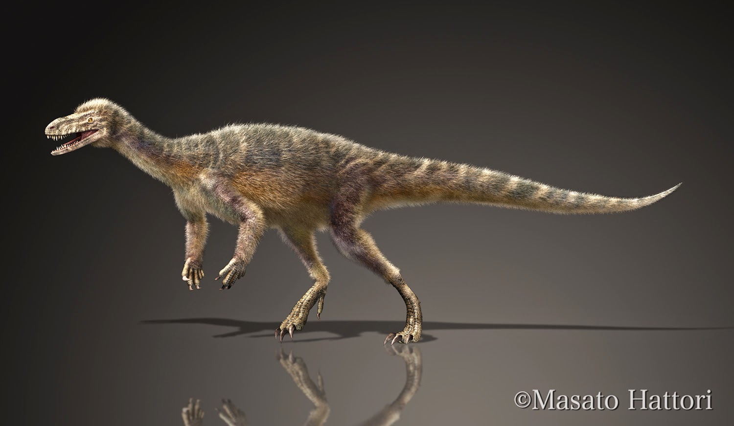 Marchan Blog: エオドロマエウス Eodromaeus