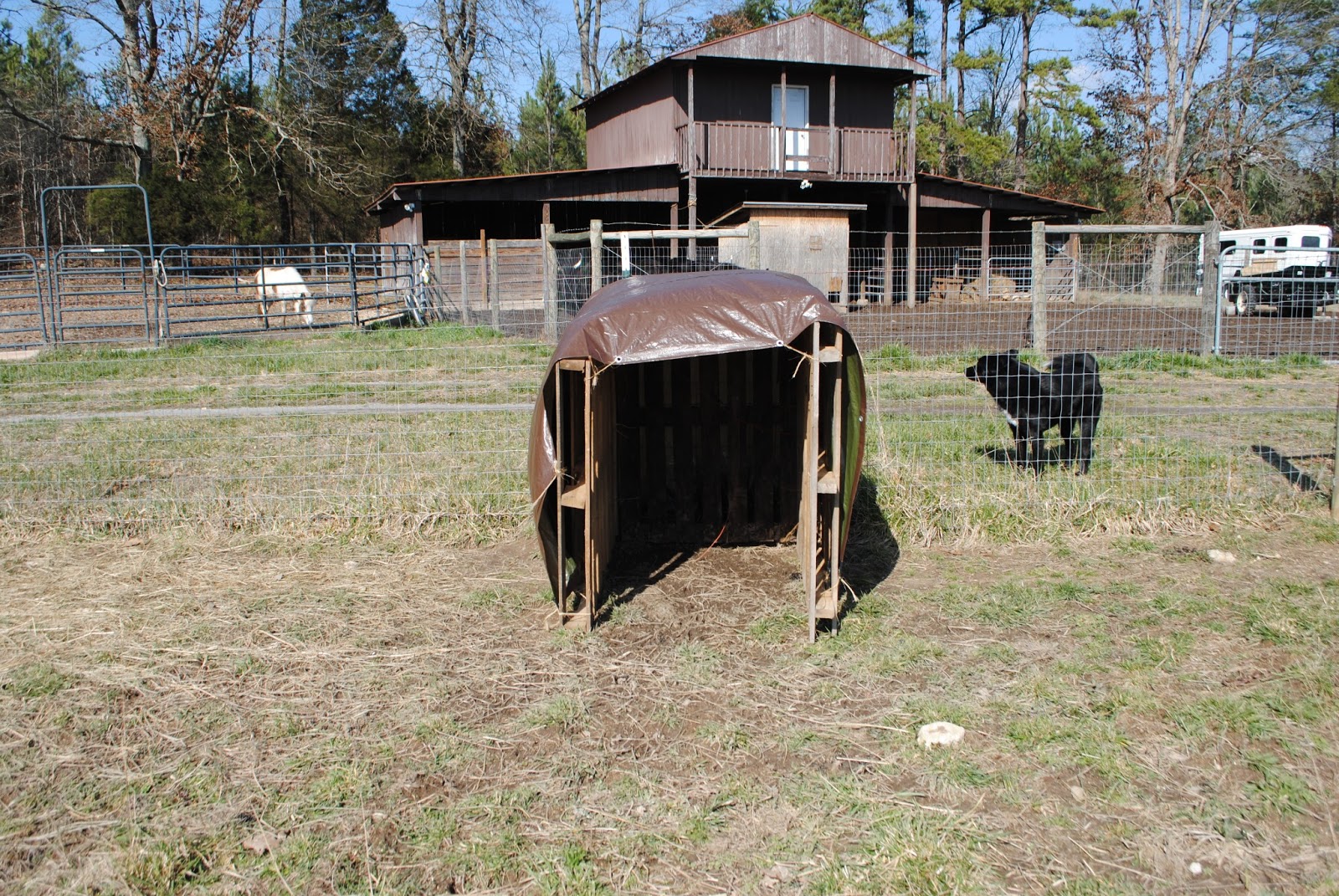 Adventures on Zephyr Hill Farm: Build a Cheap Sheep Shack