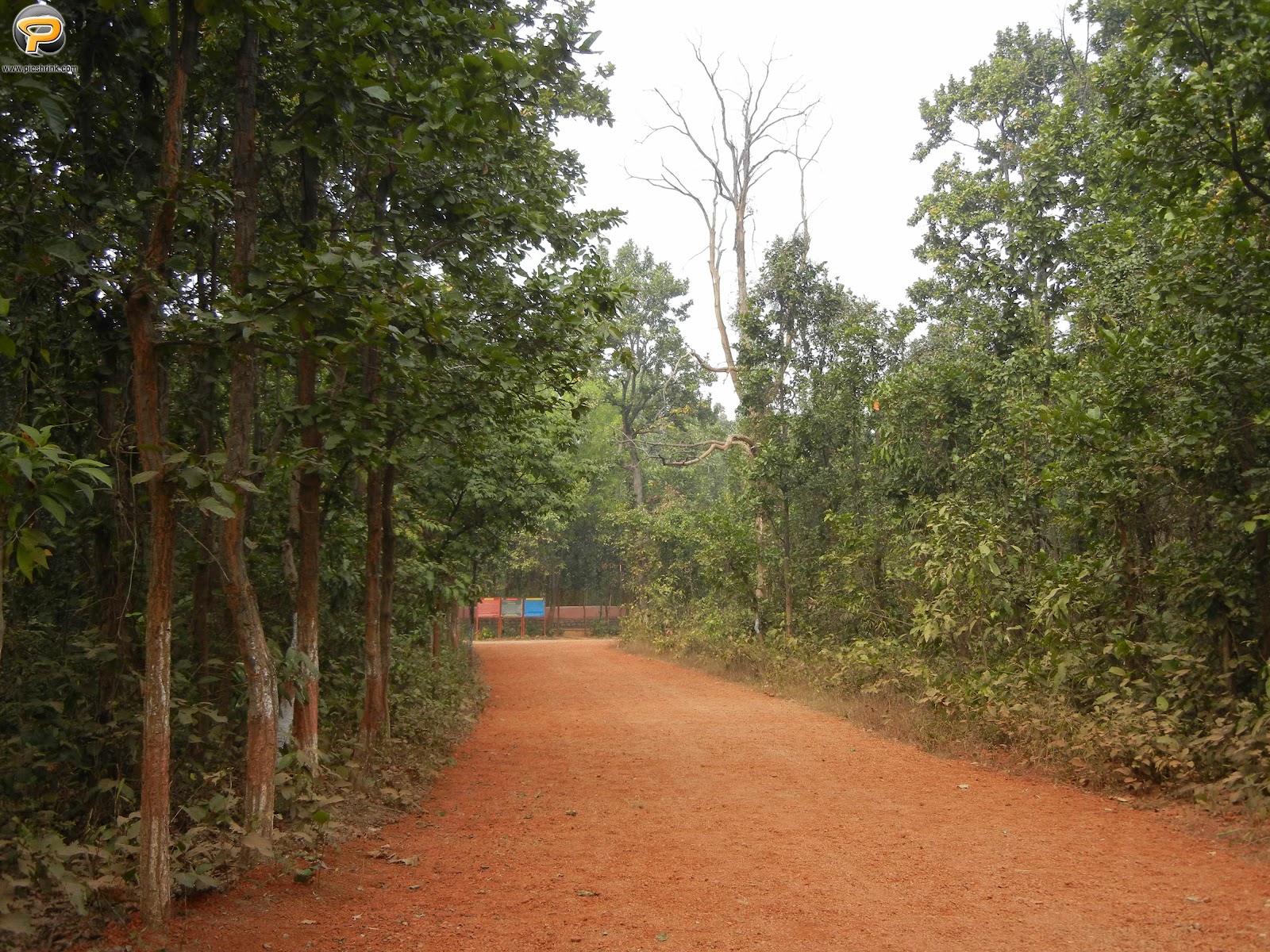 AMIMAANSI: Birsa Zoo Ormanjhi ,Ranchi