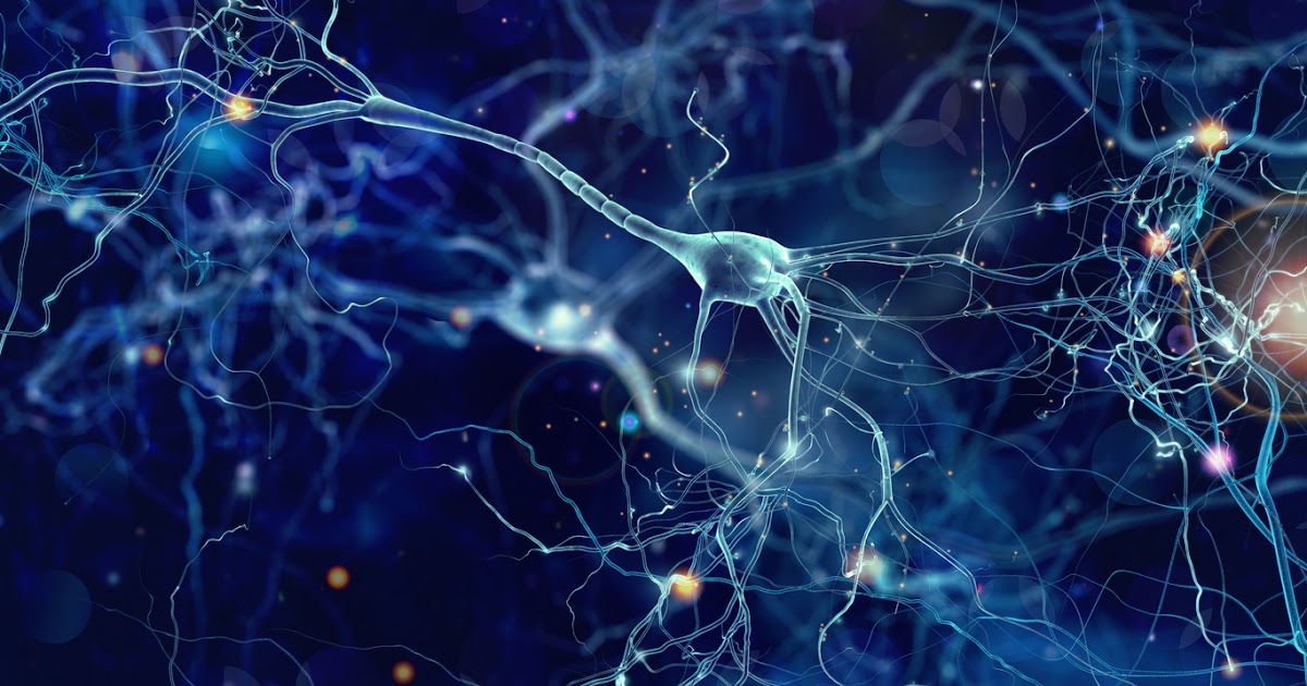 Psych News Alert: Hyperactive Brain Cells May Explain Why Some Patients ...