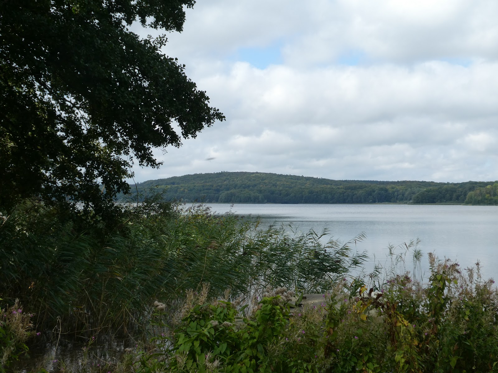 Skånska Resor: Cykla banvall till Immeln