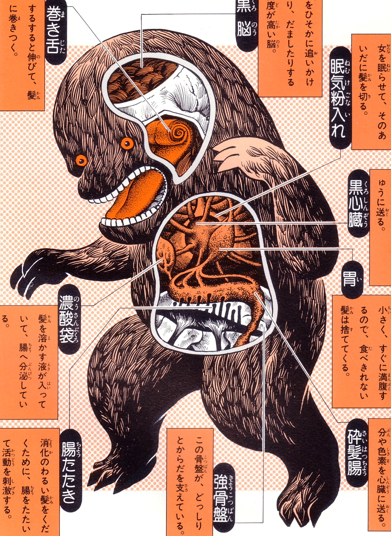 Flyer Goodness: Japanese Monster Anatomy