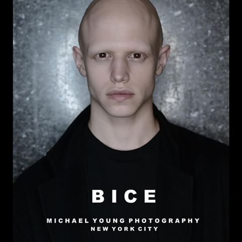 Wonder Bear: Haunting Beauty - Dustin Bice