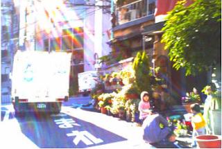 Catsparella: Necono Japanese Digital Cat Camera