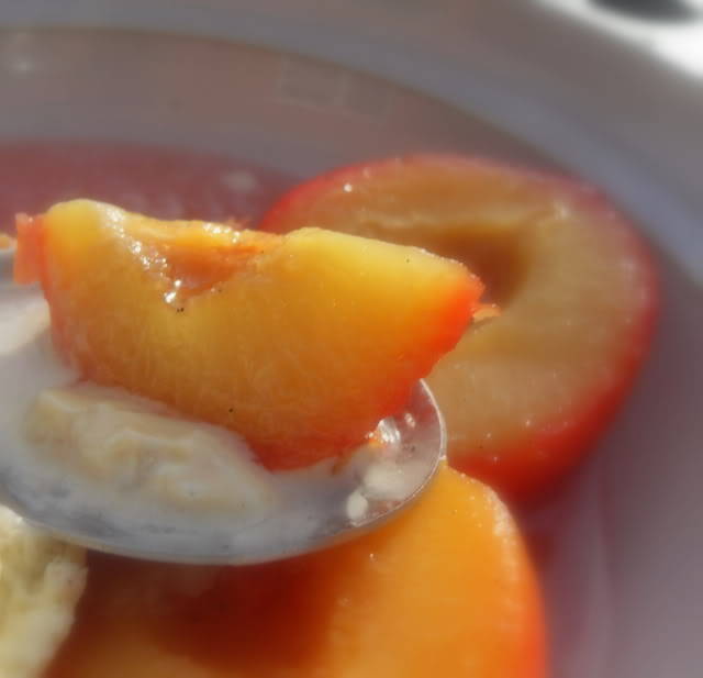 Vanilla Poached Plums | The English Kitchen