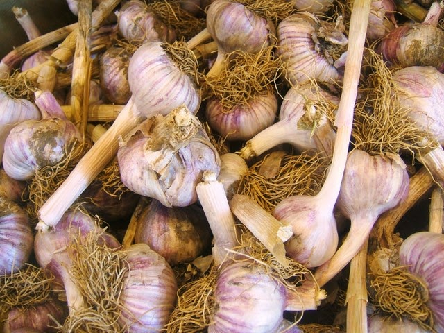 Lin's Isle of Wight Walking Blog: Walk 19 Isle of Wight Garlic Farm