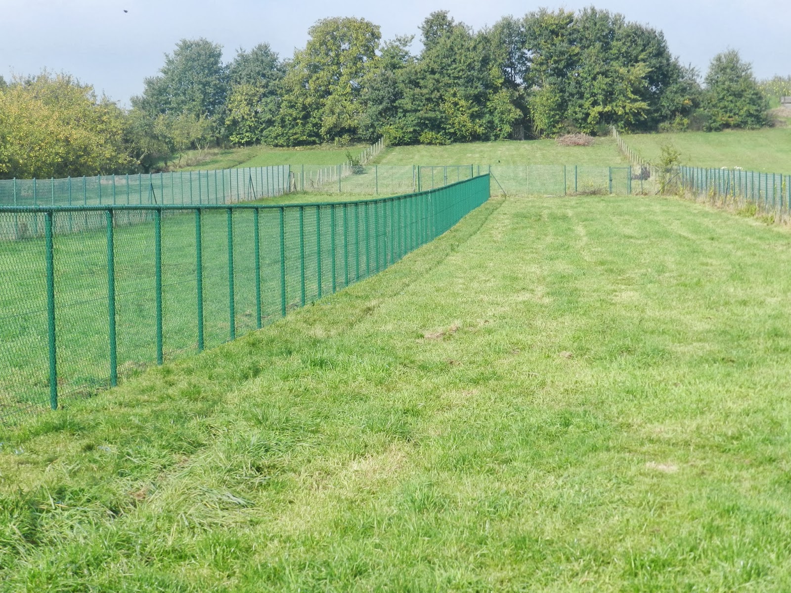 Dieter en Evy gaan bouwen.: omheining plaatsen