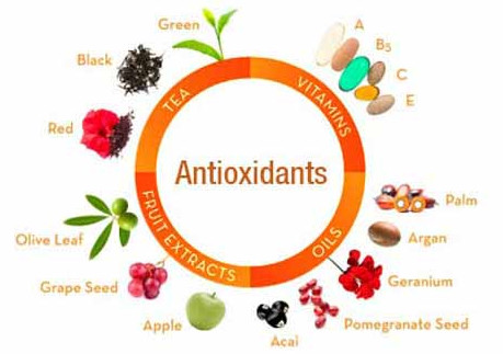 healthy living: ANTIOXIDANTS.