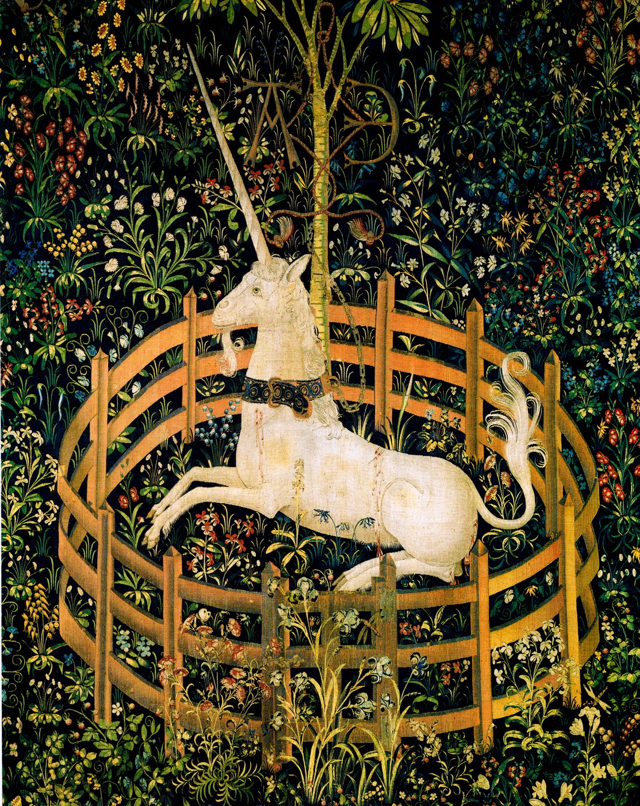 Miti in simboli: Samorog