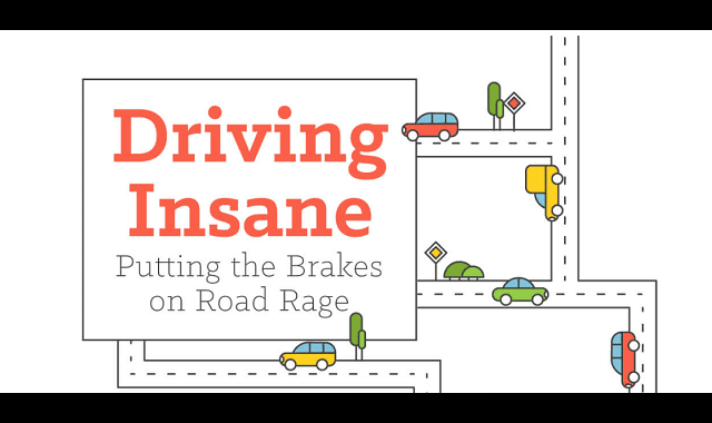Driving Insane: Putting the Brakes on Road Rage #Infographic - Visualistan