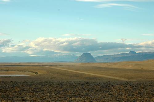 Estepas: Fauna Y Flora