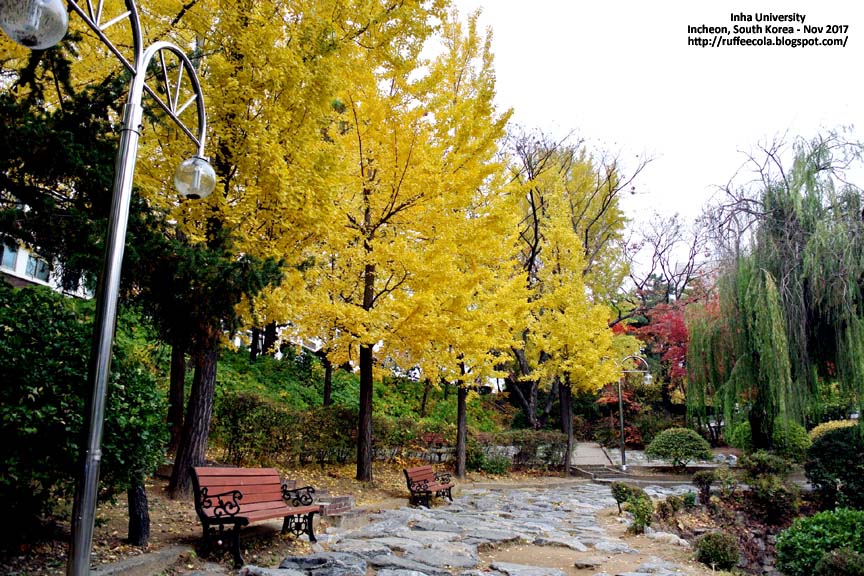 travel tales: South Korea: Incheon: Inha University
