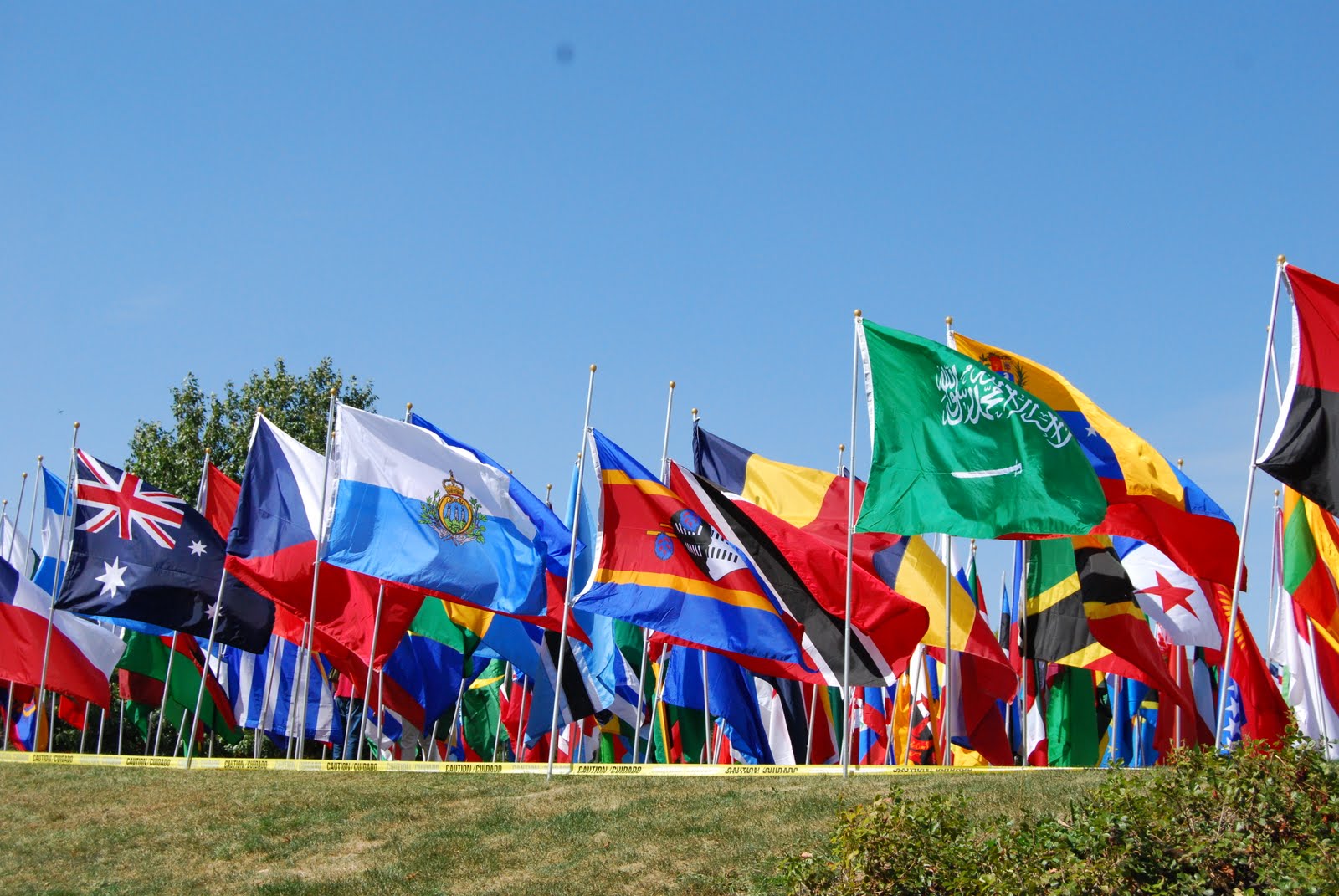 Global @ NIU: Twelfth Annual Parade of Flags