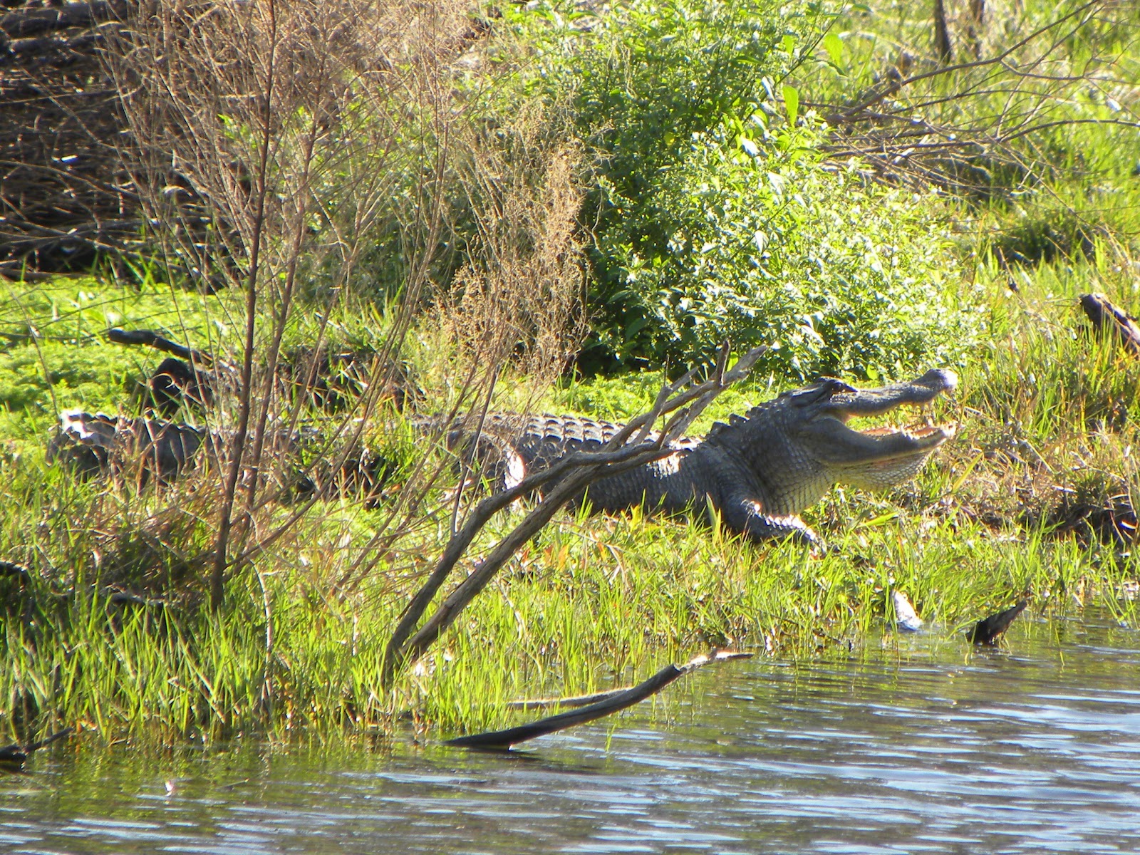 2015 TRAVELS : SANTA ROSA ISLAND - FLORIDA