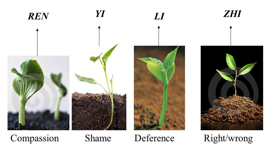 Maciocia Online: SHEN AND HUN: THE PSYCHE IN CHINESE MEDICINE