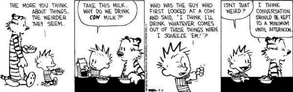 Chuck's Fun Page 2: 40 cartoons not for kids