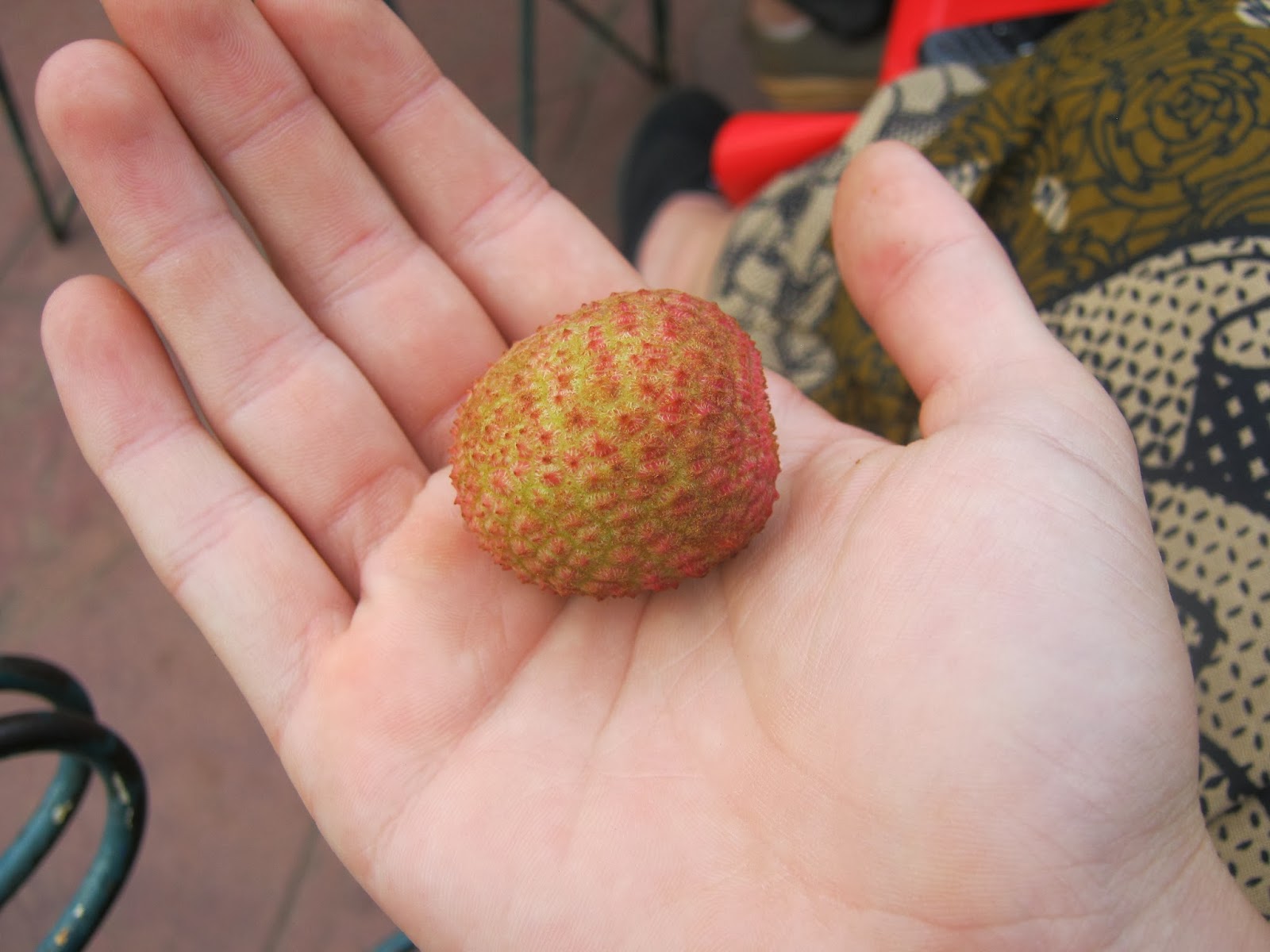 Sienna's Peace Corps experience in Mozambique: Litchis