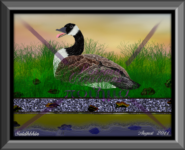 Pip, the Red-tailed Hawk: The Art of Slicing