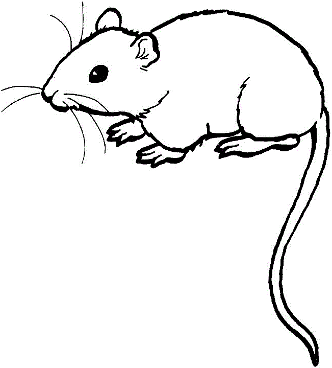 Animal Colouring Pages For Kids: Mice Coloring Page
