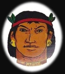 Estuche Digital: Tiuna