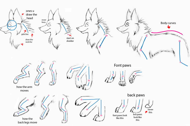 Como Desenhar Mangá: Quer aprender a desenhar Lobos?