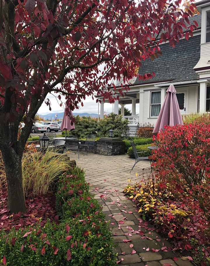 A Cup of Tea with Kelsey : Favorites from the Fruit Loop