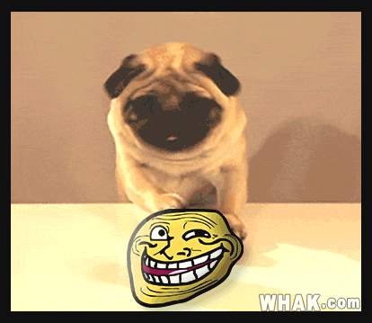 Troll Face GIF Animations For Trolling: LOL Troll Face, Pedobear ...