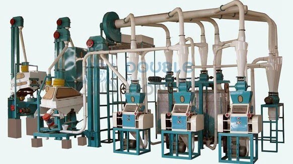 How To Processing Maize Into Maize Flour And Corn Meal