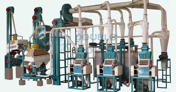 How To Processing Maize Into Maize Flour And Corn Meal