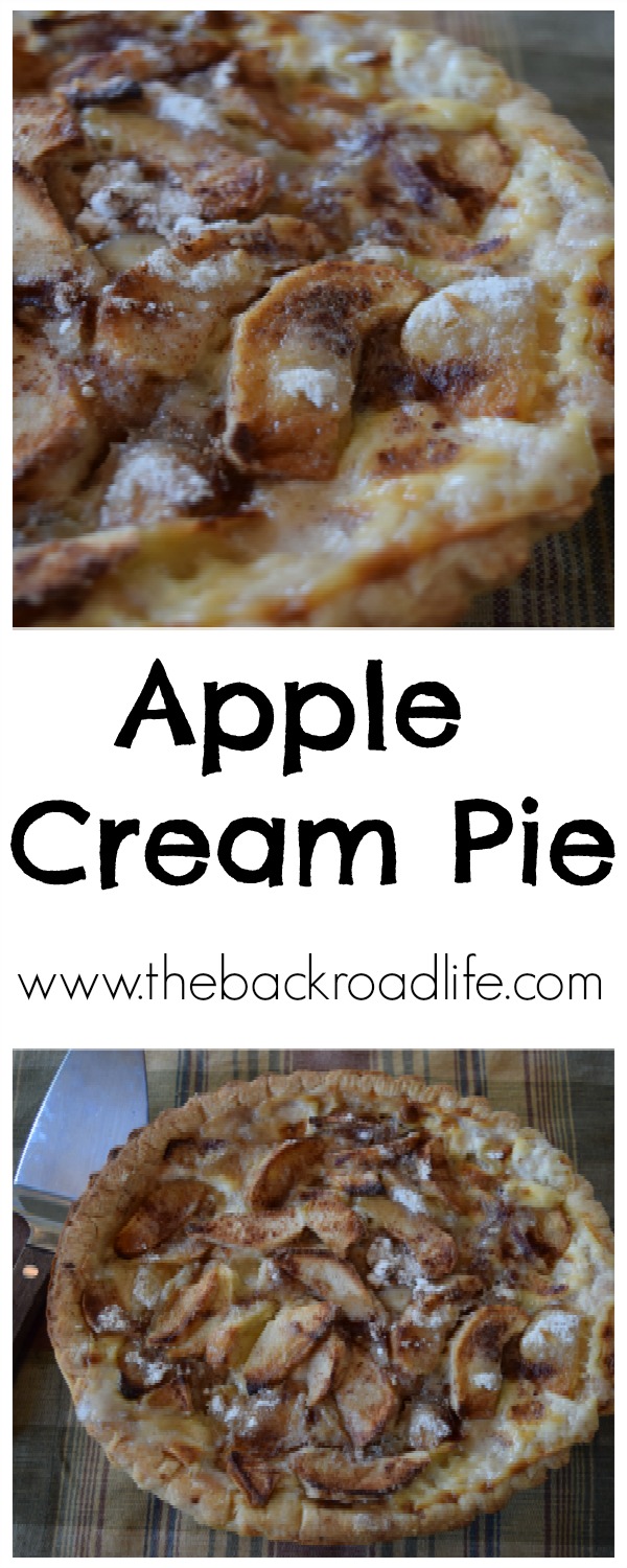 The Backroad Life: Apple Cream Pie....my most favorite pie