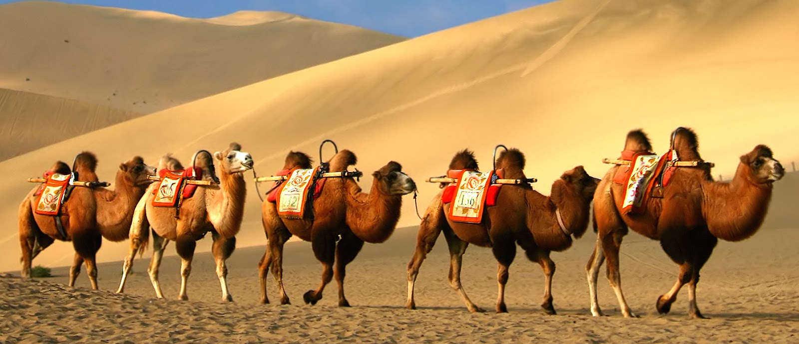 Michael Blitzer Kingstown Capital: The Silk Road: An Icon Of Hope