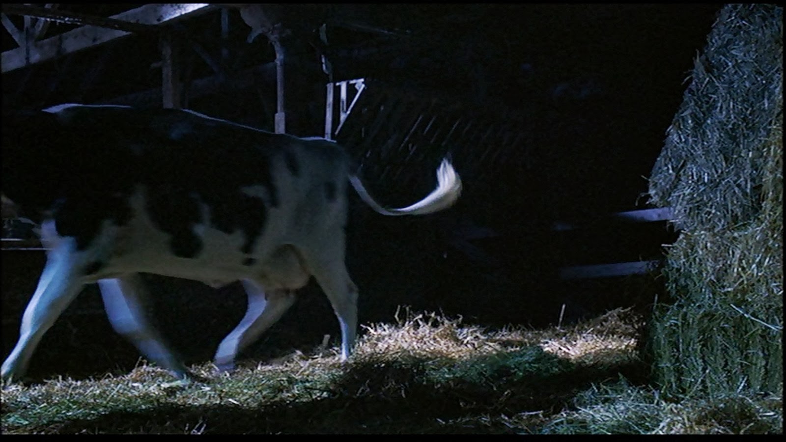 The Little Vampire Obsessed 2.0: TLV Abridged: Scene 16 - The Call