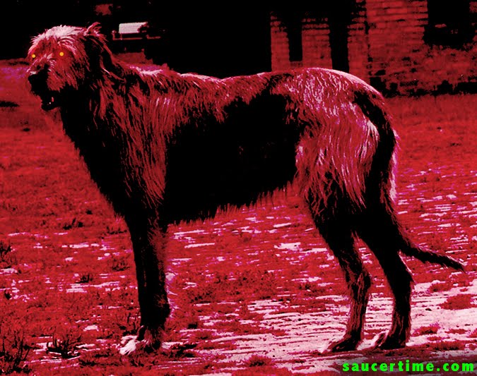 7 Foot Tall Hellhound Skeleton Found! - The Black Shuck Is Real