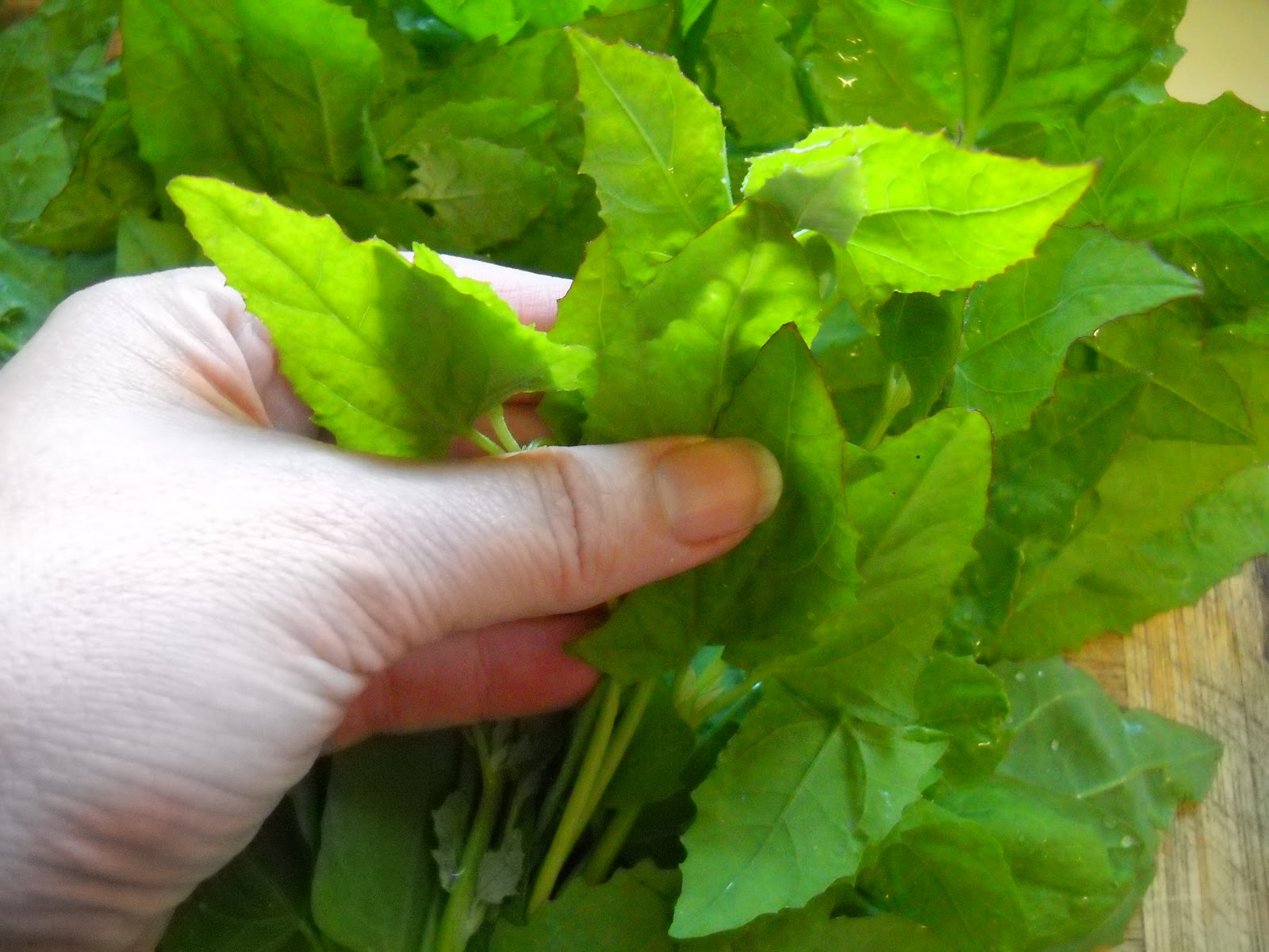 Blessed Vegan Life: Tofu with Wild Spinach and Almonds