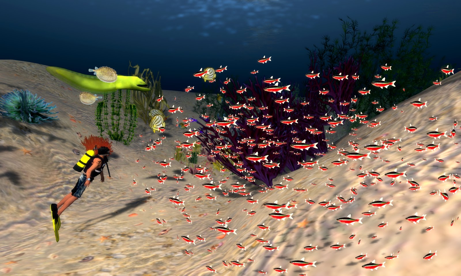 Echt Virtuell: Tauchen in Second Life